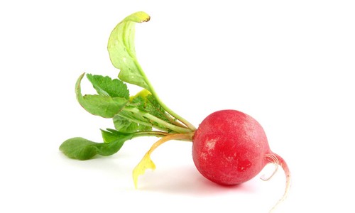 Verde Pisello Verona - Verde Pisello Verona